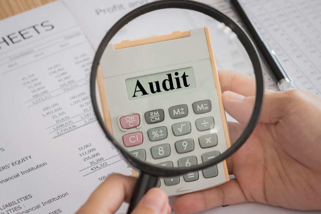 Types of Audit - BuddingCA